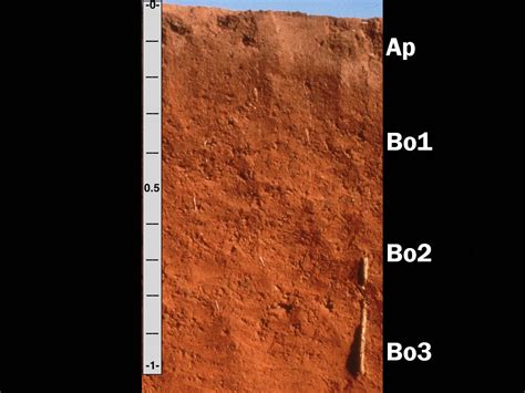 Oxisols University Of Idaho