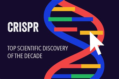 Feng Zhang Mit Mcgovern Institute