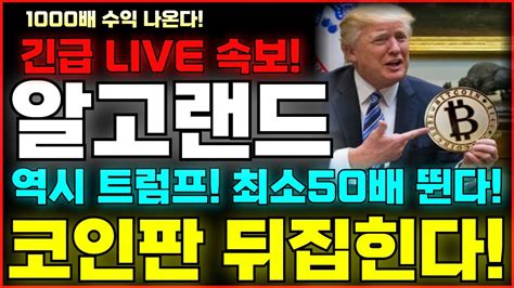 알고랜드 코인전망 완벽 차트분석 긴급 라이브속보 역시 트럼프 최소 50배 더뛴다 코인판 뒤집힌다 빠르게 확인 하세요