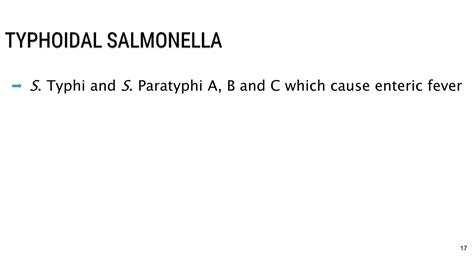 Enteric Fever Pathogenesis Clinical Features And Lab Diagnosis Pptx