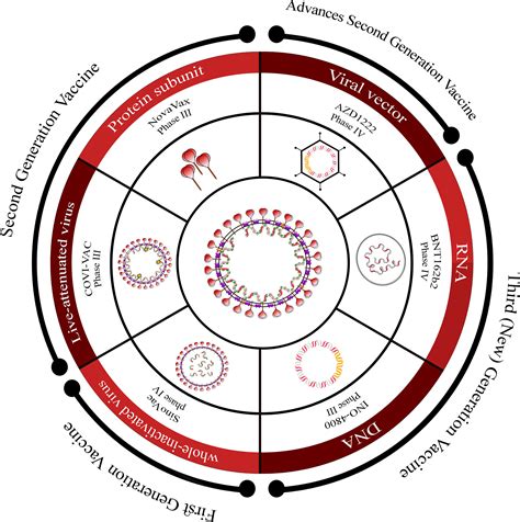 Delving Into Revolutionary Sars Cov 2 Vaccine Approaches Molecular And Virological Examinations