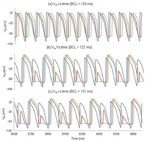 Action Potential Propagation In Different Regions Figure A Shows The Download Scientific