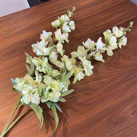Fake Delphinium Stem Wistle And Co