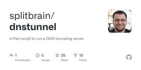 Github Splitbraindnstunnel A Perl Script To Run A Dns Tunneling Server
