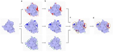 Computational Methods For Binding Site Prediction On Macromolecules