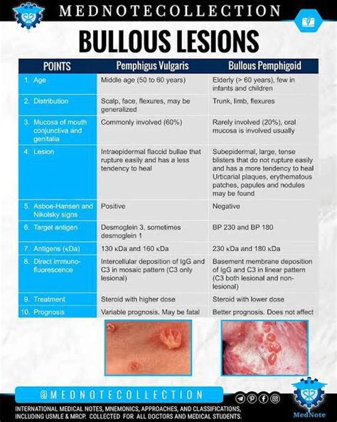 Pemphigus Vulgaris Vs Bullous Pemphigoid Medizzy