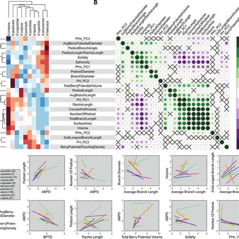 Hierarchical Cluster Analysis And Correlation Analysis A Cluster