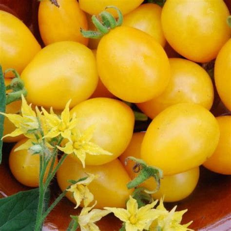 A Bowl Filled With Yellow Flowers And Green Leaves
