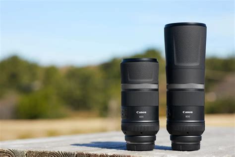 Best Canon Rf Lenses For Wildlife Amateur Photographer