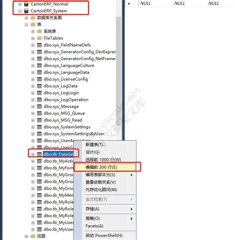 喜鹊erp 局域网服务器固定ip操作指南 c s开发框架 c s框架网