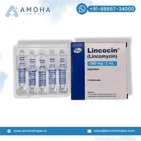 Lincocin Lincomycin 600mg 2ml Injection At ₹ 100 Vial In Surat Id 2852427071588