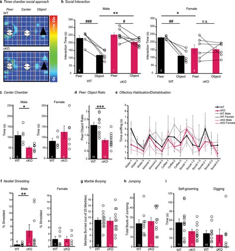 Nrxn2 CKO Mice Exhibited A Sex Dependent Preference For Social Cues And Download Scientific