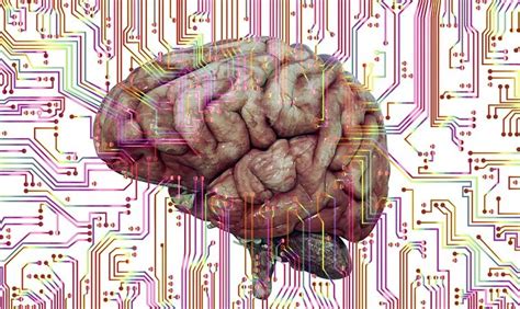 Boost Your Online Presence With Expert Flutter Web App Development