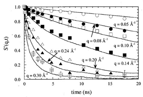 Dynamic Structure Factor For Pbd Chains Obtained From Simulation ͑
