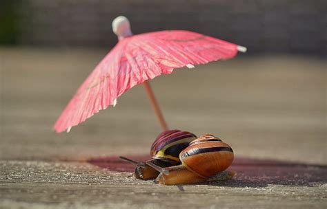 Куда поехать на отдых осенью Zefirka