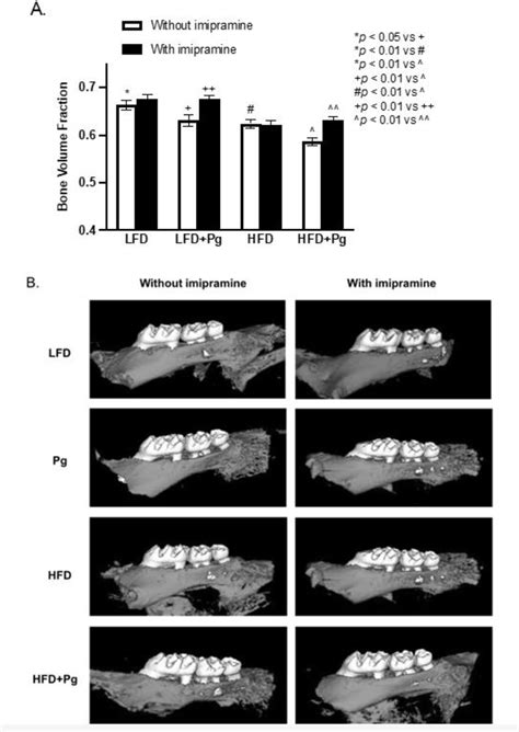 Figure 3 From The Presence Of Periodontitis Exacerbates Non Alcoholic Fatty Liver Disease Via