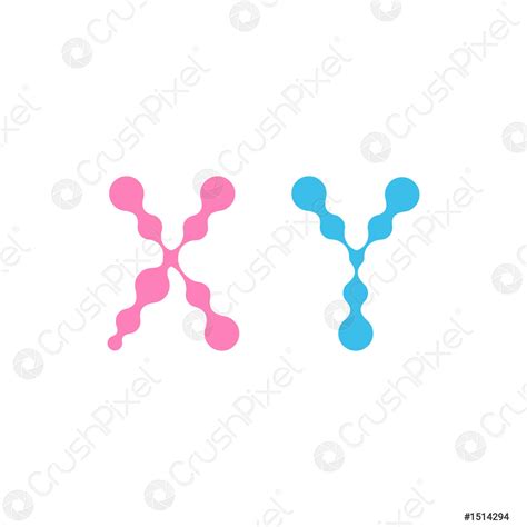 Cromosoma sexual cromosoma xy cromosomas en el diseño del vector de stock 1514294 Crushpixel