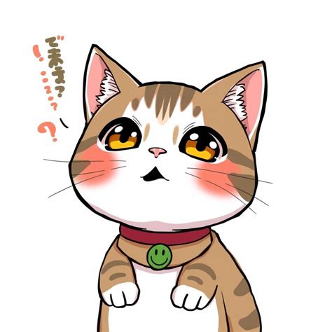 Confused Kitty Confused Kitty