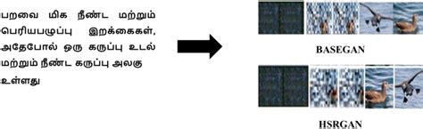 Generated Images Using Basegan And Hsrgan Network On Cub Dataset