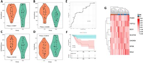 Geo Validation Set Testing Model Validation Efficiency A The Stromal Download Scientific