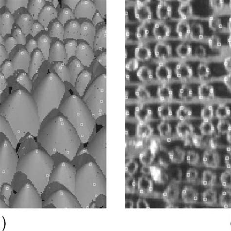 A And B Illustration Of The Local Maximum Filter Failure To Download Scientific Diagram