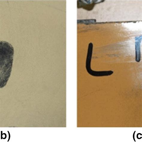 Proposed Algorithm Of Latent Fingerprints Segmentation Download Scientific Diagram