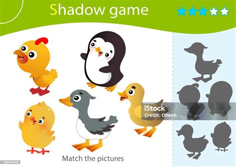 아이들을위한 그림자 게임 올바른 그림자를 일치시다 새의 색상 이미지 오리 병아리 고슬링 칠면조 펭귄 어린이와 미취학 아동을위한 워크 시트 벡터 디자인 0명에 대한 스톡 벡터