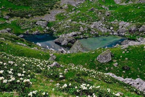 აბუდელაურის ფერადი ტბები ივნისს კვირას მცხეთამთიანეთი 0 Gel ჯითიჯი ტური