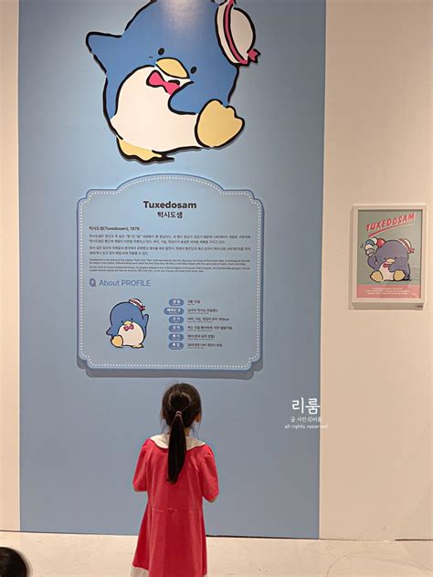 산리오 캐릭터 이름 종류 모음 특징 사진 총정리 네이버 블로그