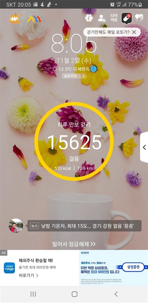 🌈 11월15일 탄생화황금 싸리꽃말과 의미는🌈 뉴스트림