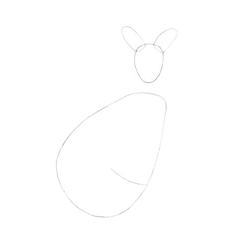 How To Draw A Kangaroo Envato Tuts