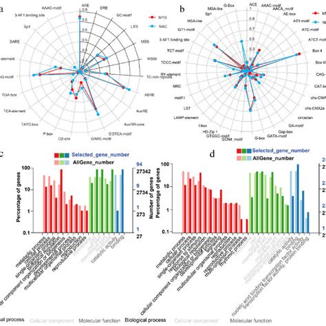 Statistics Of Cis Elements Within The 2 Kb Promoter Regions And