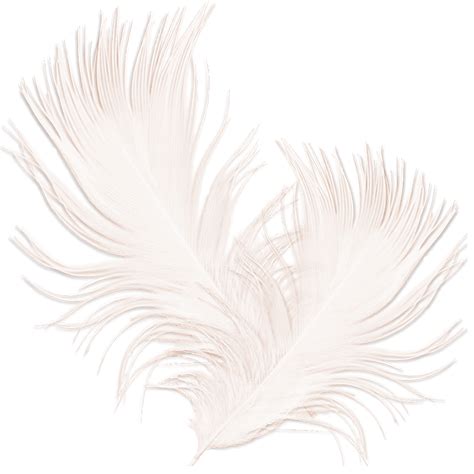 Белые картинки Png найдено 76 изображений