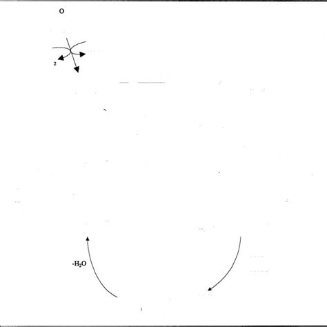 A Schematic Representation Of Fatty Acid Biosynthesis Adapted From