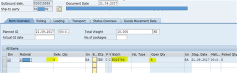 Troubleshooting The Batch Split Functionality From Sap Community