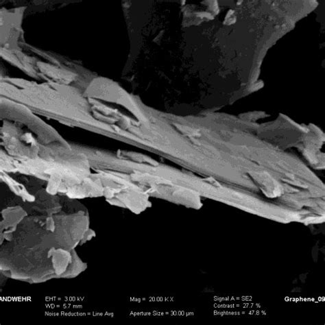 Sem Micrographs Of A Natural Graphite Flakes Ngf B Exfoliated