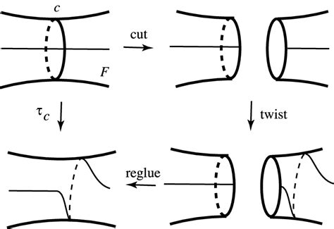 dehn twist homeomorphisms download scientific diagram