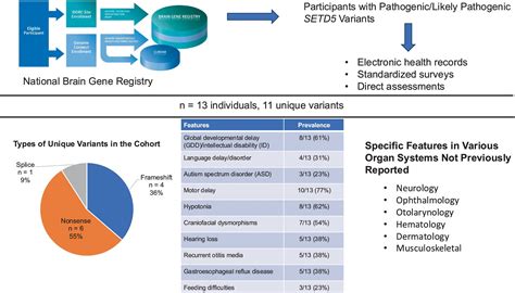 Expansion Of The Genotypic And Phenotypic Spectrum Of Setd5 Disorder