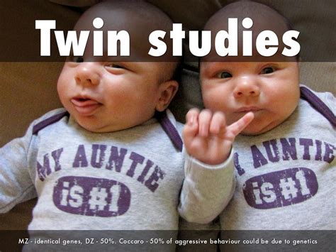 Genetic Explanation Of Aggression By Seanpugh