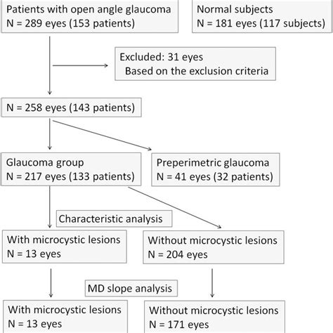 The Oct Macular Scanning Protocol The Protocol Consisted Of 19