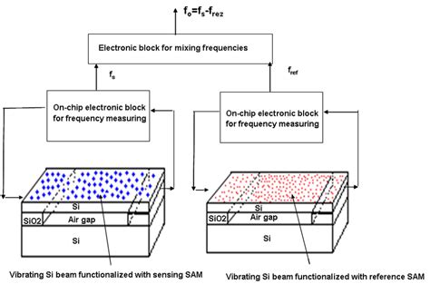 Schematic Blocks Of An All Differential Resonant Nems Chemical Sensor Download Scientific