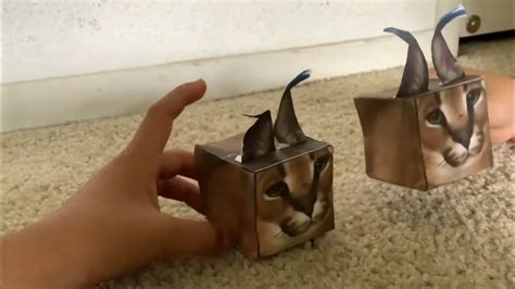 Floppa Cube… Youtube