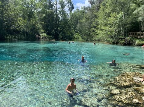 Start Planning Your Tubing Adventure At Ichetucknee Springs State Park