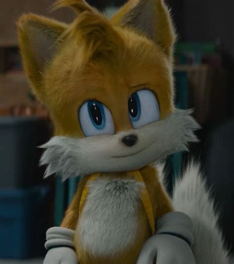 Pin By Tony Lynn On Miles Tails Prower Tails The Fox Sonic Movie Sonic Funny Sonic Fan