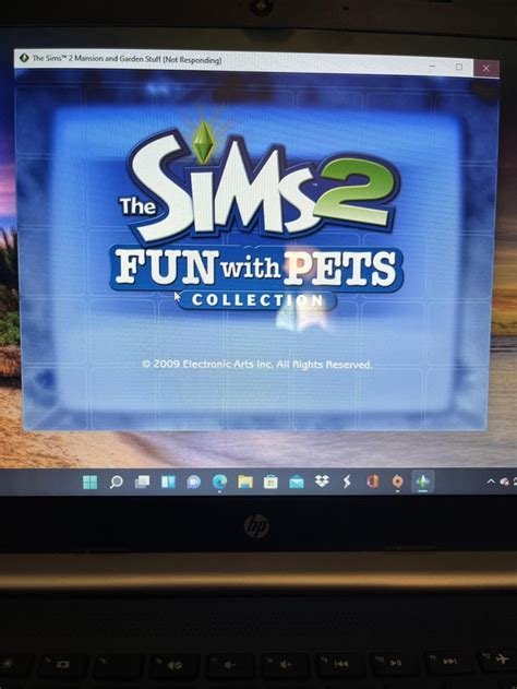 Sims 2 Failed To Find Any Directx” Error Message Rsims2