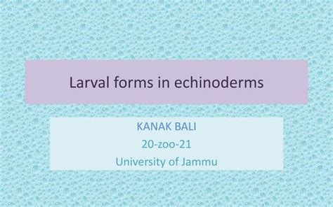 Larval Forms Of Echinoderms Pdf Biological Sciences Science