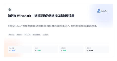 如何在 Wireshark 中选择正确的网络接口来捕获流量 Labex