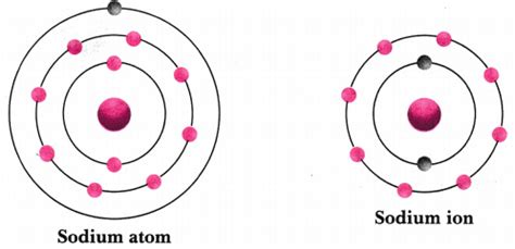Show Diagrammatically The Electron Distribution In A Sodium Atom And A Sodium Ion And Also Give