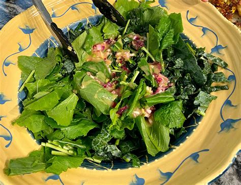 Farm To Table Salad With Lions Mane Mushroom Video