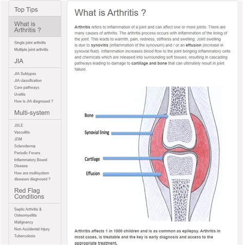 Example Of Novice To Expert Design Download Scientific Diagram